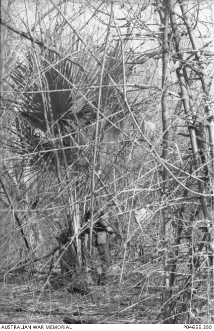 Operation Finschhafen, 7th Battalion, The Royal Australian Regiment ...