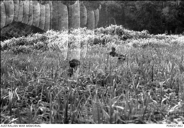D Company, 6th Battalion, The Royal Australian Regiment - New Zealand ...