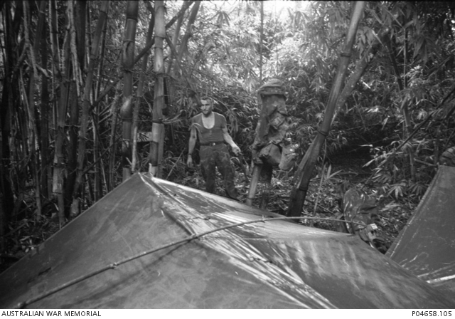 Members of the Australian Army Training Team Vietnam (AATTV) with Mike ...