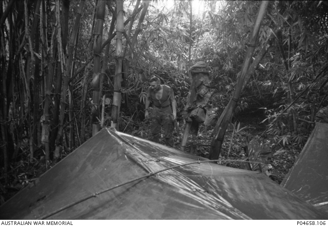 Members of the Australian Army Training Team Vietnam (AATTV) with Mike ...