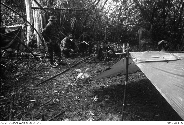 Members of the Australian Army Training Team Vietnam (AATTV) with Mike ...