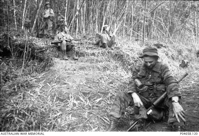 Members of the Australian Army Training Team Vietnam (AATTV) with Mike ...