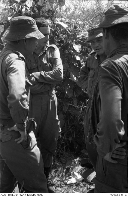 The 1st Australian Task Force Commander (1ATF), 3163 Brigadier Cedric ...