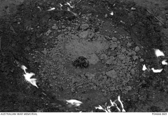 19994 Lieutenant Tom ‘Rockets’ Guivarra MID, a Torres Strait Islander ...