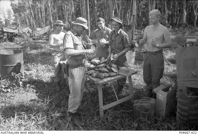 Men of 5th Battalion, The Royal Australian Regiment (5RAR) conducting ...