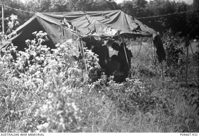 Men of 5th Battalion, The Royal Australian Regiment (5RAR) conducting ...
