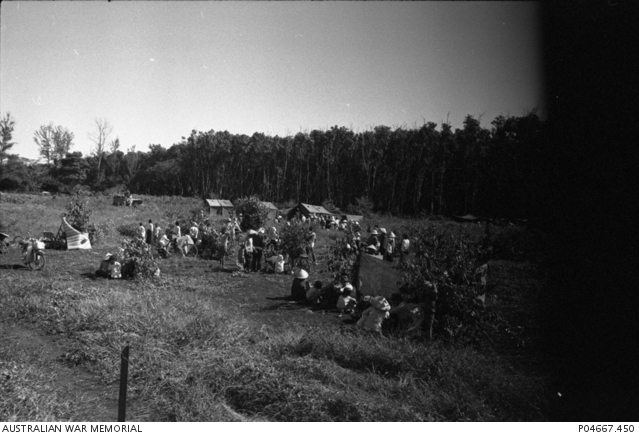 Men of 5th Battalion, The Royal Australian Regiment (5RAR) conducting ...