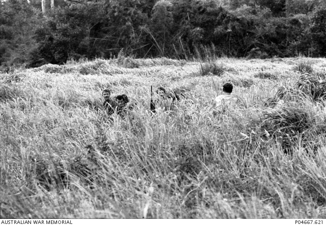 Attempt to trap the Viet Cong (VC) D445 Battalion. 105mm M2A2 guns of ...