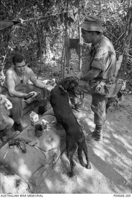 Diggers of 4th Battalion, The Royal Australian Regiment - New Zealand ...