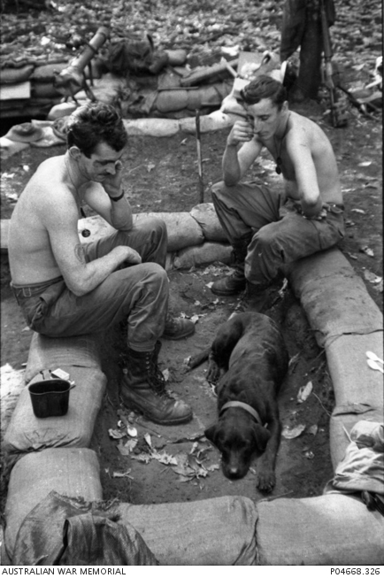 Diggers of 4th Battalion, The Royal Australian Regiment - New Zealand ...