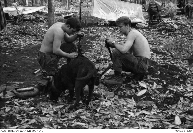 Diggers of 4th Battalion, The Royal Australian Regiment - New Zealand ...