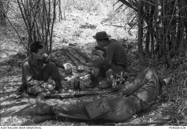 7th Battalion, The Royal Australian Regiment (7RAR), the Commanding ...