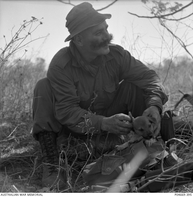 3854 Sergeant William (Bill) O'Donnell, the sergeant cook of D (Delta ...