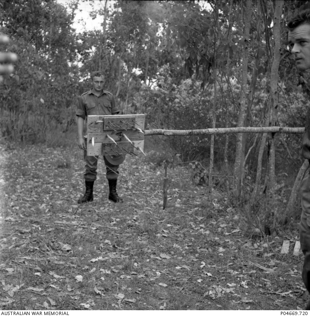 What Is A Punji Trap