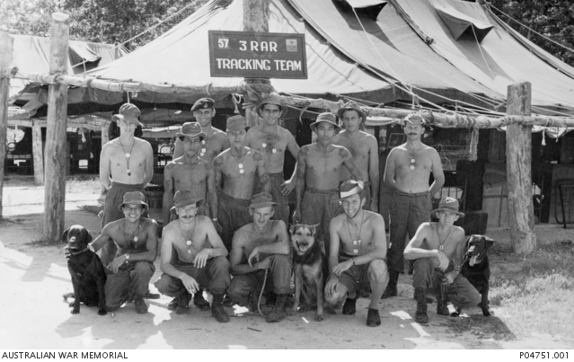 Informal group portrait of members of the 3rd Battalion, The Royal ...