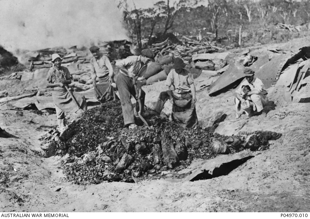 A group of unidentified internees digging and bagging charcoal ...