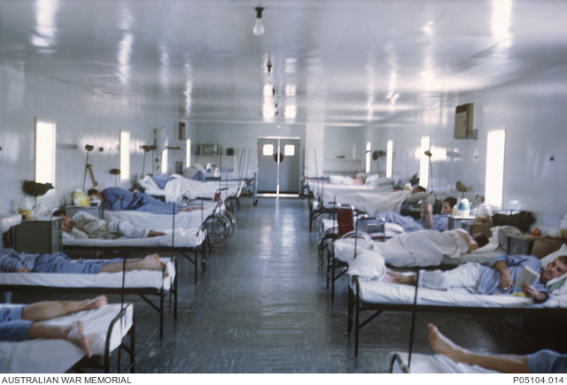 An inside view of the surgical ward at the 1st Australian Field ...