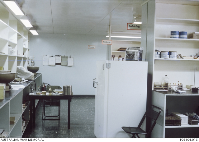 The pathology section of the 1st Australian Field Hospital (1 Aust Fd ...