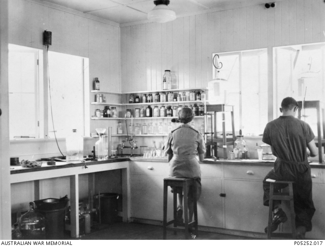 Unidentified male and female laboratory assistants working in the ...