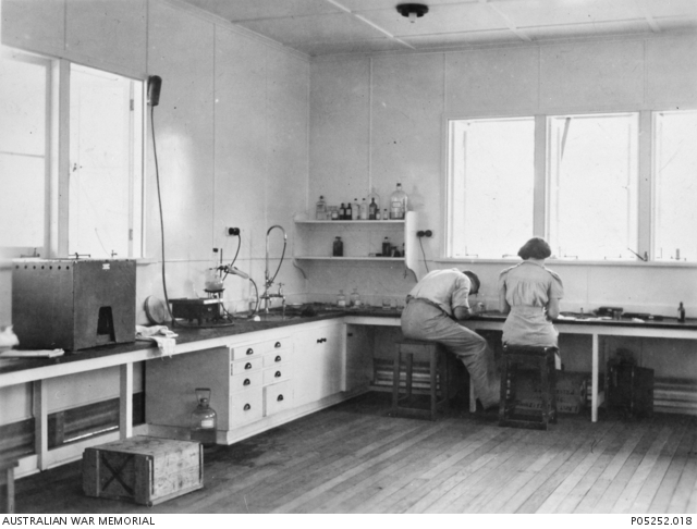 Unidentified male and female laboratory assistants working in a ...