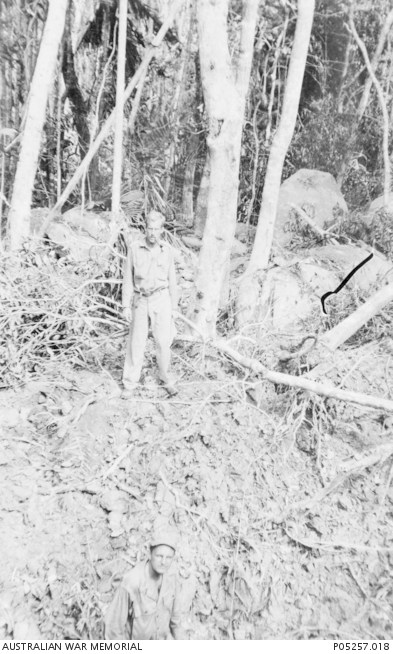 Mr John (Jack) Legge (physiologist) stands above a bomb crater and ...