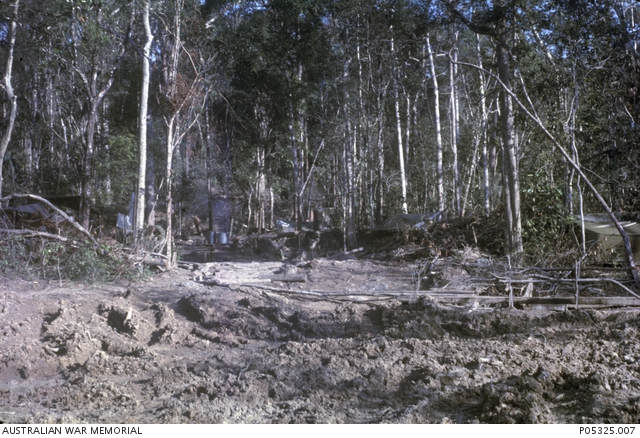 A view of the Firestone trail cleared by bulldozers from the Royal ...