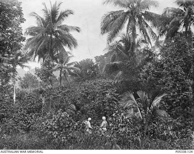 Two unidentified sailors from the German armed merchant raider, SMS ...