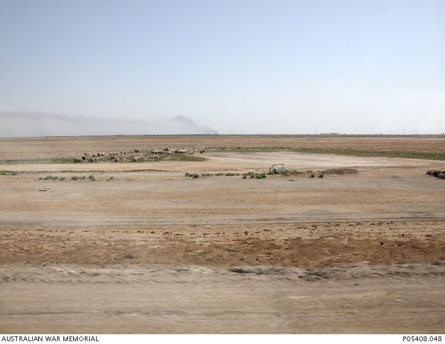 An Iraqi shepherd and his sheep along Route Jackson, the main route ...