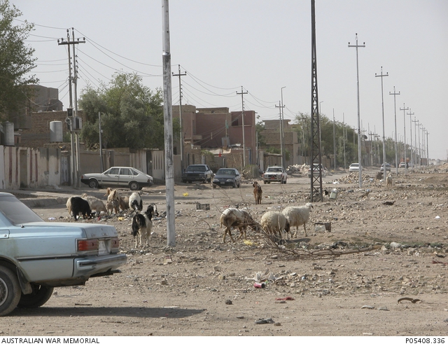 Sheep and goats scavenging through rubbish in a street opposite houses ...