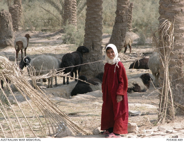 A young Iraqi shepherd girl tends her herd of goats and sheep amongst ...