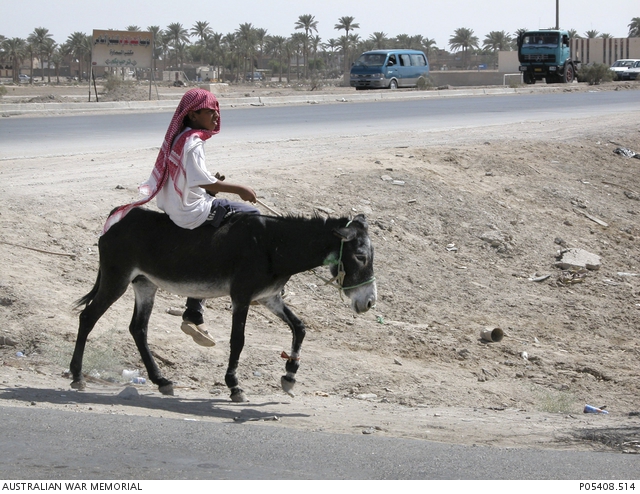A young Iraqi boy riding a donkey along the side of the road in As ...