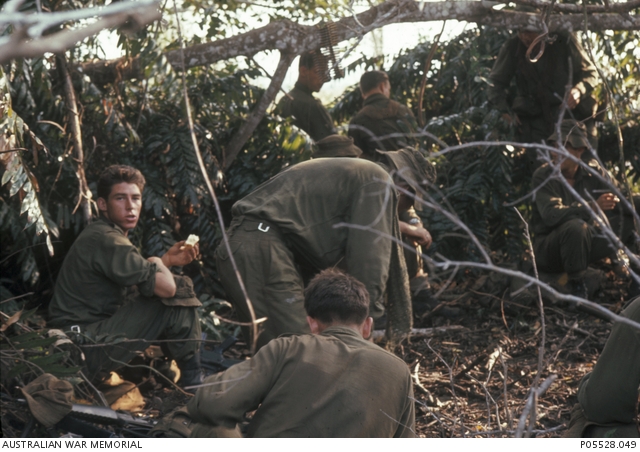 Collection of images relating to the service of David Mark Buckwalter ...