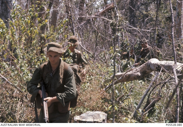 Collection of images relating to the service of David Mark Buckwalter ...