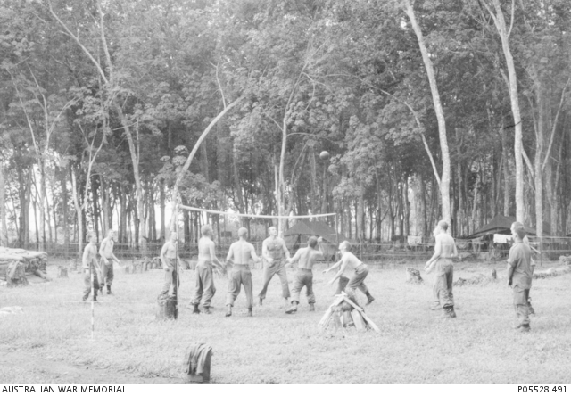 Collection of images relating to the service of David Mark Buckwalter ...