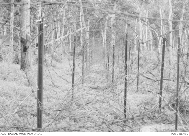 Collection of images relating to the service of David Mark Buckwalter ...