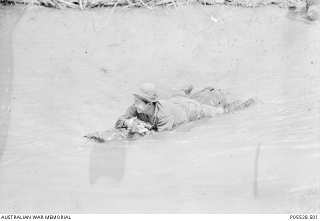 Collection of images relating to the service of David Mark Buckwalter ...