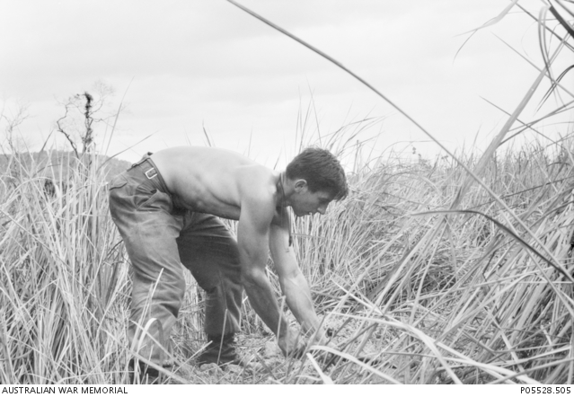 Collection of images relating to the service of David Mark Buckwalter ...