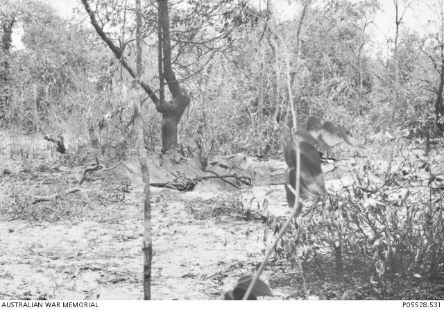 Collection of images relating to the service of David Mark Buckwalter ...