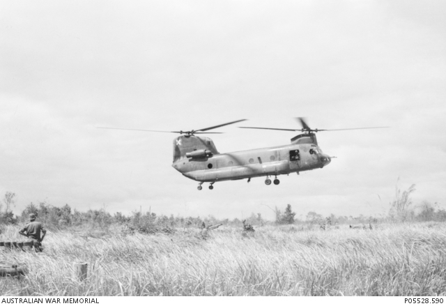 Collection of images relating to the service of David Mark Buckwalter ...