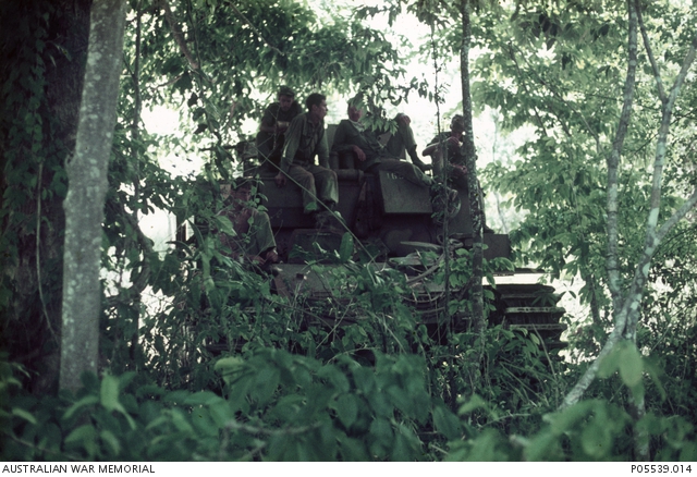 Several craftsmen (Cfn) from A Squadron, 1st Armoured Regiment Light ...