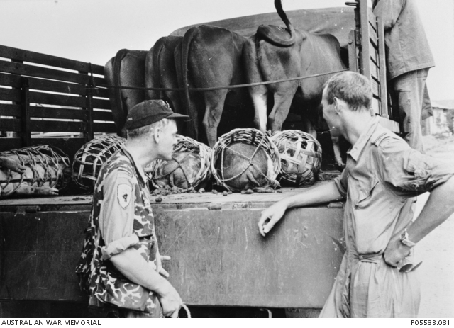 Two pilots from the RAAF Transport Flight Vietnam (RTFV), Pilot Officer ...