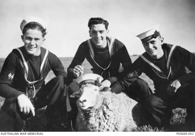 Informal group portrait of three sailors of HMAS Penguin with a sheep ...