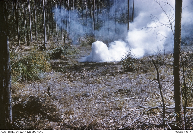 A smoke bomb fired from an EY rifle explodes during the 11th National ...