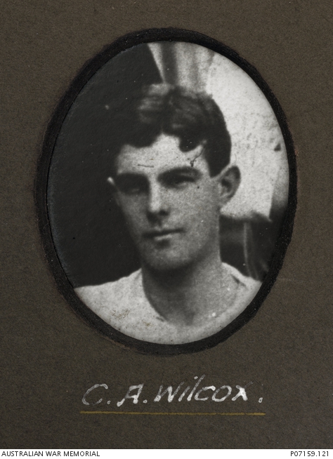 Studio portrait of Second Lieutenant Charles Angas Willcox, 50th ...