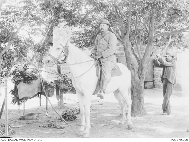Collection relating to Professor Gustaaf Adolf Frederik Molengraaff ...