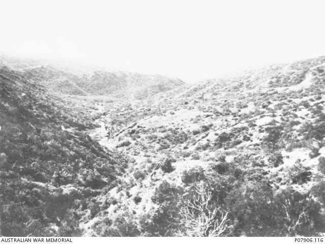 A view of Monash Gully from a Turkish position on Dead Man's Ridge. One ...