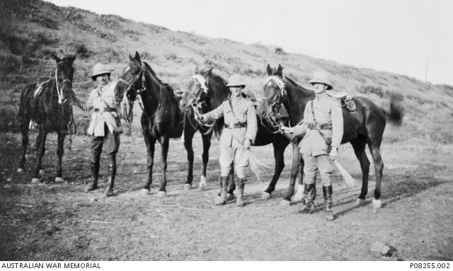 Informal outdoor portrait of officers with their horses. Included are Major Park Alexander ...