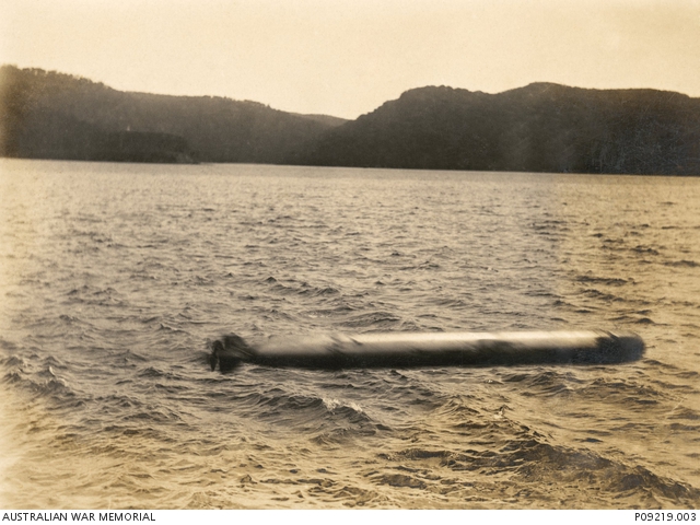 A torpedo about to enter the water. Part of a torpedo firing sequence ...