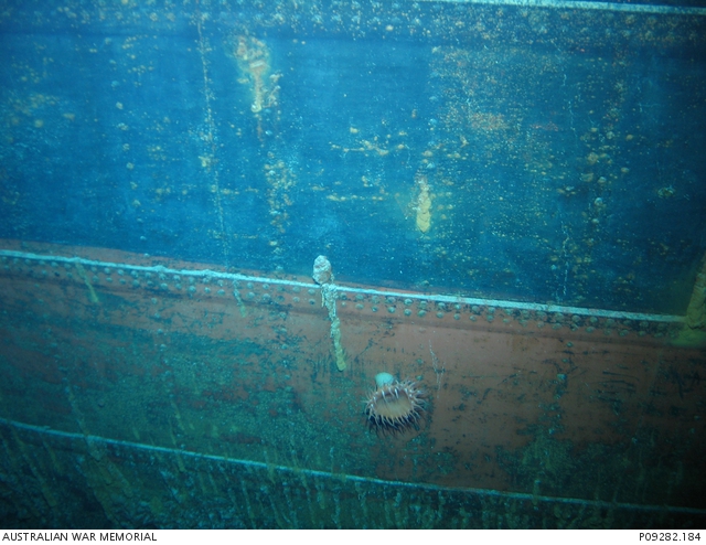 Dive 6 NSK Kormoran Wreck Ship's side in vicinity of well deck. Please ...