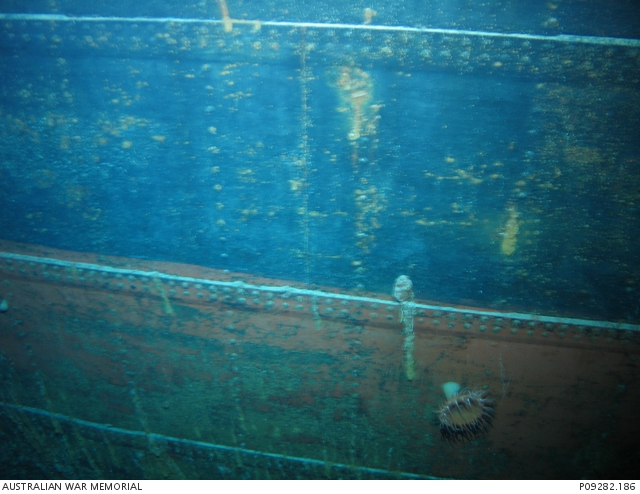 Dive 6 NSK Kormoran Wreck Ship's side in vicinity of well deck. Please ...